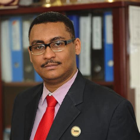 Hussein Maki Professor Research Profile