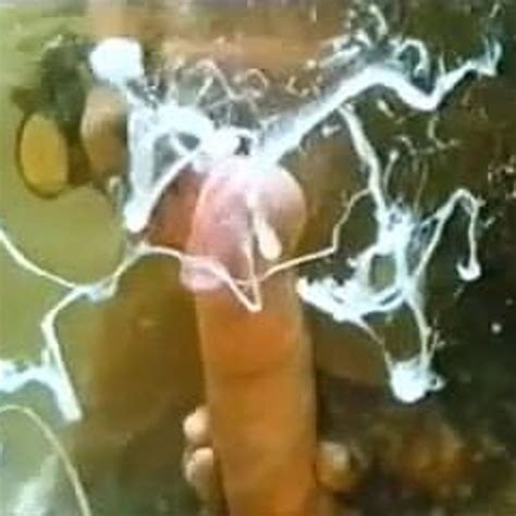 Vintage Underwater Blow Job And Cumshot Porn B2 Xhamster Xhamster