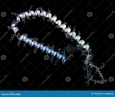 Alpha Synuclein Fibril Structure Determined By Solid State Nmr