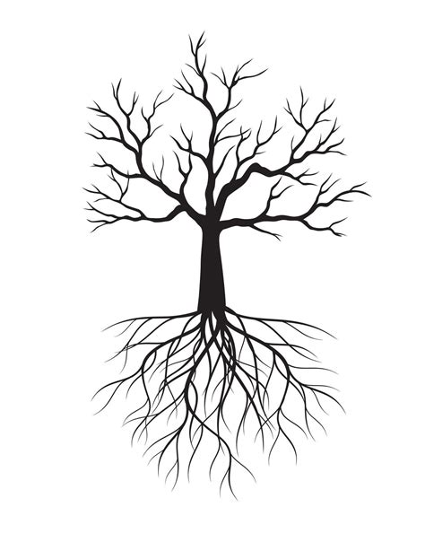 Black Tree With Roots Vector Outline Illustration Plant In Garden