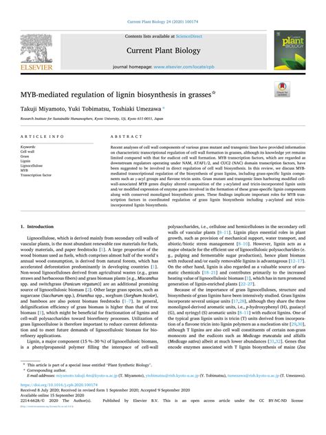 Pdf Myb Mediated Regulation Of Lignin Biosynthesis In Grasses