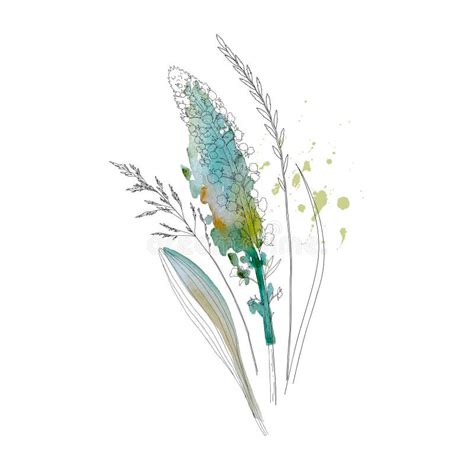 Dried Grass Floral Bouquet 2 Stock Vector Illustration Of Isolated