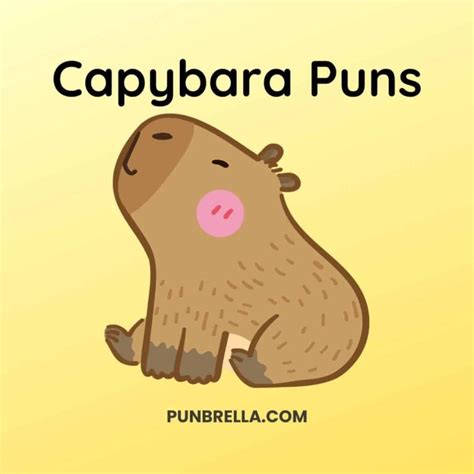 100 Hilarious Capybara Puns And Jokes Dive Into The Fun