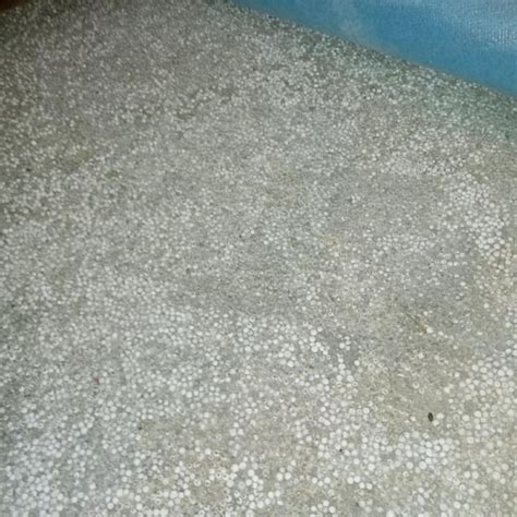 Bathroom Floor Unusual Concreate Under The Floorboards Rdiyuk