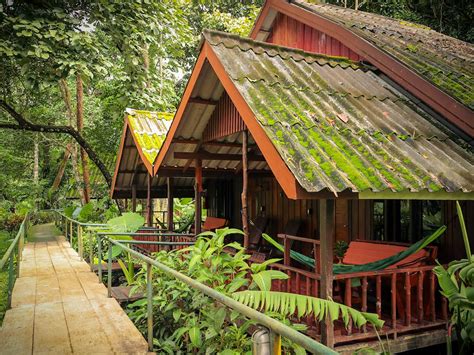 A Friendly Jungle Getaway At Riverside Cottages Khao Sok National Park