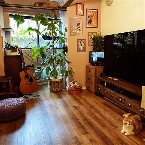 ベッド周りねこと暮らす猫ねこのいる日常ねこ部などのインテリア実例 2018 11 25 164934
