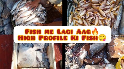 Fish Me Lagi Aag🔥 And High Profile Ki Fish😋 Youtube