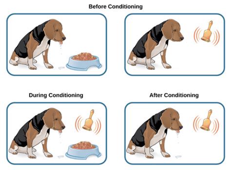 Psych Ch Flashcards Quizlet