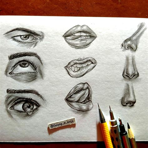 Nose Drawings In Pencil