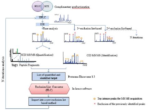 Workflow Of A Precursor Ion Exclusion Based Proteomic Experiment And