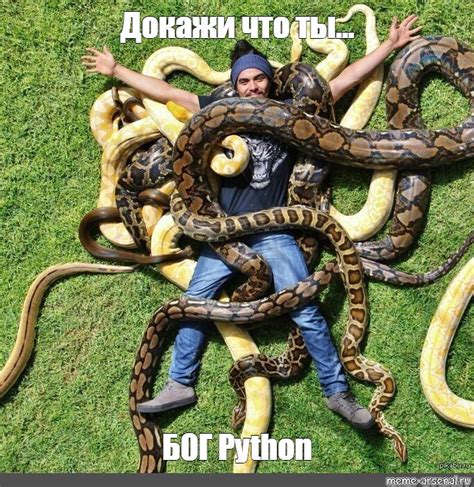 Мем Докажи что ты БОГ Python Все шаблоны Meme
