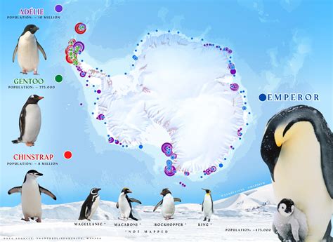 Hábitat De Los Pingüinos En La Antártida 2023 Mapas Milhaud