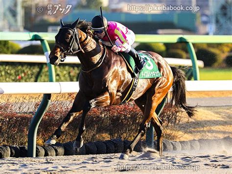第16回 カペラs 回顧 競馬 研究ニュース