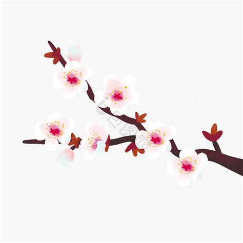 杏花元素PNG 杏花元素PNG素材 包图网