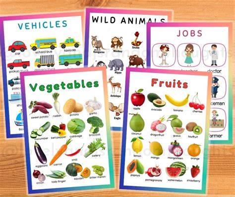 Laminated Educational Charts A4 Size Hobbies And Toys Stationary