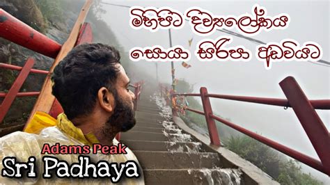 මේක නං දිව්‍යලෝකයක්ම තමයි 🍃💚 මහ වැසි මැද සිරිපා අඩවියට යමු මාත් එක්ක🏔️♥