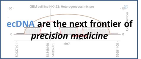 上海纽科生物科技有限公司
