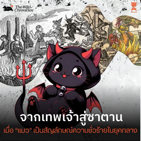 จากเทพเจ้าสู่ซาตาน เมื่อ แมว” เป็นสัญลักษณ์ความชั่วร้ายในยุคกลาง