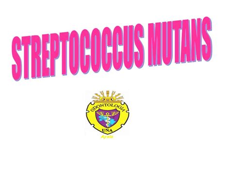 Ppt Streptococcus Mutans Powerpoint Presentation Free Download Id