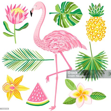 열 대 여름 벡터 일러스트입니다 플라밍고 파인애플 정글 잎 파인애플에 대한 스톡 벡터 아트 및 기타 이미지 파인애플 드로잉 홍학 Istock