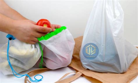 Nêu một số cách nhằm hạn chế sử dụng túi ni lông trong đời sống hàng ngày
