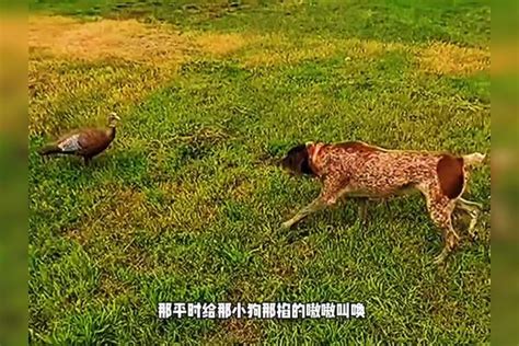 我学过兵法，以静制动！