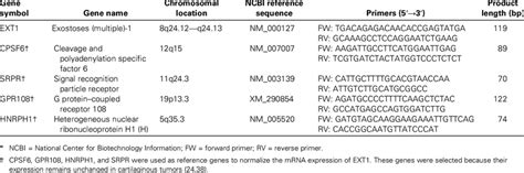 Quantitative Reverse Transcription Polymerase Chain Reaction Primers Download Table