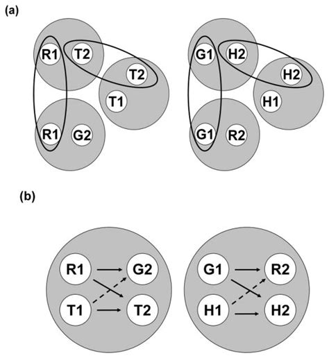 A Successful Search For Symmetry And Other Derived Relations In The