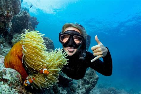 Great Barrier Reef Diving And Snorkeling Cruise From Cairns