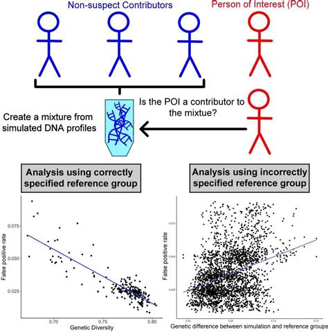 Decreased Accuracy Of Forensic Dna Mixture Analysis For Groups With