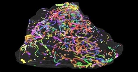 Molecular Fossils Reveal Details About Ancient Life Assignment Point