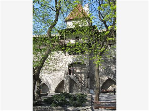 Таллинн в мае Фотография 21 Таллинн Эстония ФотоТерра