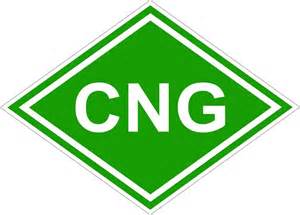 Pcngi Flags Off Implementation Pricing Framework For Auto Cng