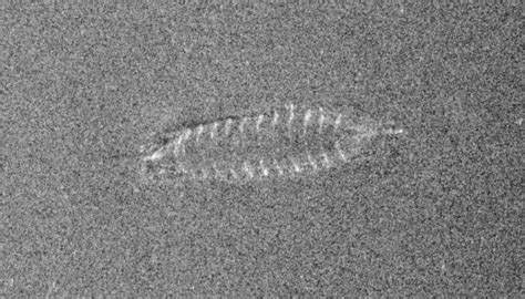 Sonar Spots Up To 700 Year Old Shipwreck Deep In Norwegian Lake