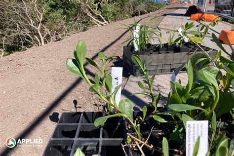 Construction Environment Management Plan And Inspections Aes