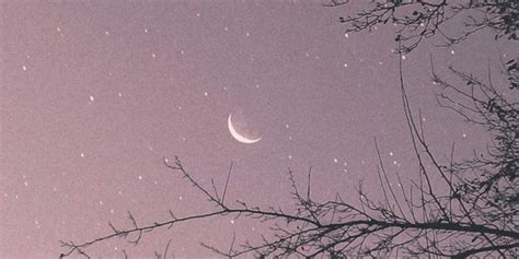 캐릭터 소개 시리우스 나의 조각