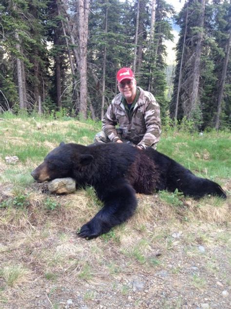 British Columbia Black Bear Hunt 10609