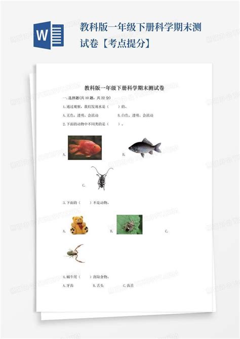 教科版一年级下册科学期末测试卷【考点提分】word模板下载熊猫办公