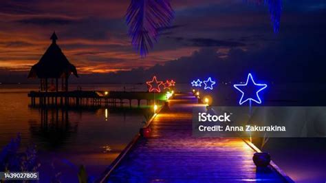 거리의 크리스마스 조명 조명으로 장식 된 야자수 통로 도로를 따라 별 조명 열대 섬에서 새해 휴가 축하 비주얼 프레임 야경 밤