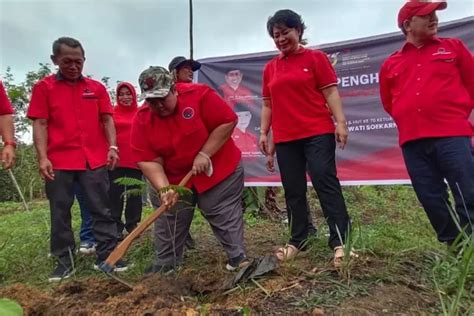 Tanam Jutaan Pohon Bukti PDI Perjuangan Cinta Lingkungan Metropolitan