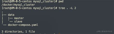 Docker Compose搭建mysql8 0 集群 掘金