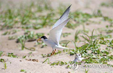 일촉즉발 연합뉴스