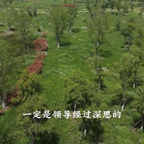 為什麼領導提拔別人卻給我加薪？ 每日頭條