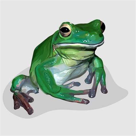 Premium Vector Frog Realistic Hand Drawn Illustrations And Vectors