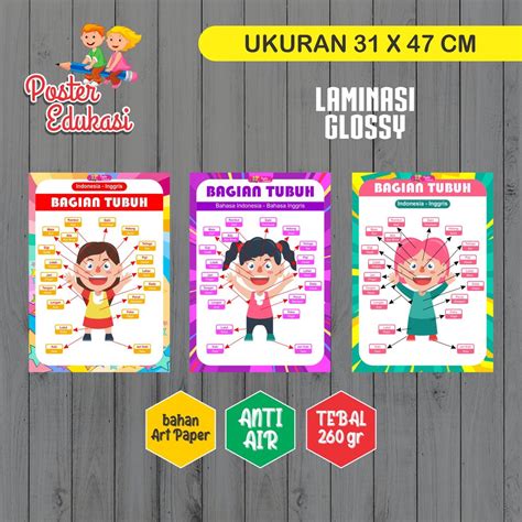 Jual Poster Edukasi Mengenal Anggota Tubuh Poster Mengenal Anggota