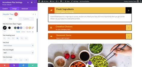 Lo Más Destacado Del Complemento Divi Divi Accordions Plus Shopihunter
