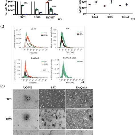 Quantification Of Evsparticles By Nanoparticle Tracking Analysis