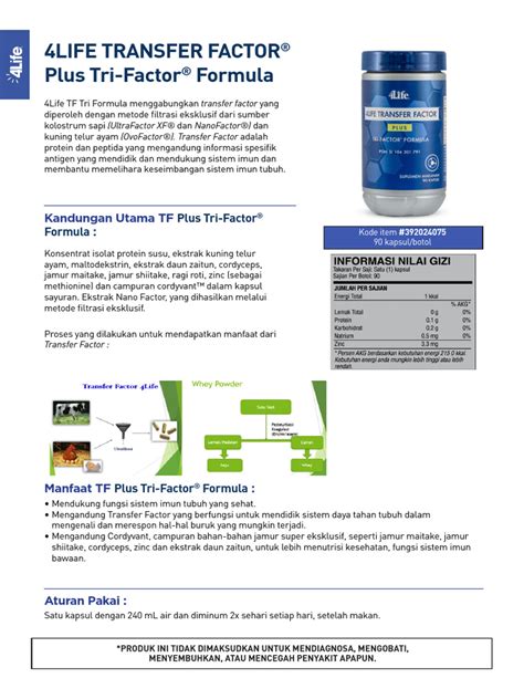 Indonesia Plus Pps Pdf