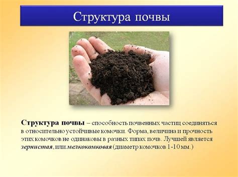 Выбираем грунт. Как отличить торф от чернозема?
