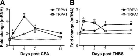 Trpv1 And Trpa1 Function And Modulation Are Target Tissue Dependent